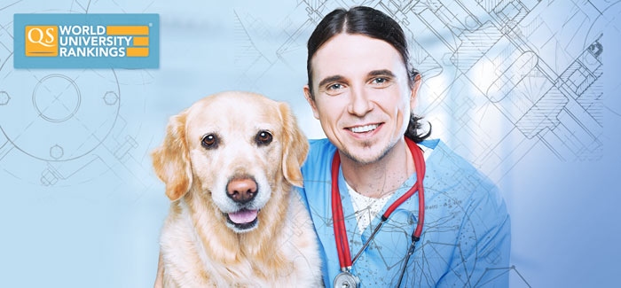 What It's Like to Study at the Best Universities for Veterinary Science ...