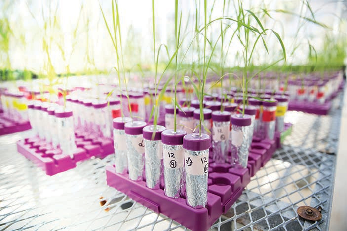 阿卜杜拉国王科技大学（KAUST） : Rankings, Fees & Courses Details | QSChina